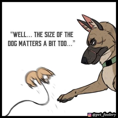 Pixie And Brutus Comics Already Have Over 1 4m Followers And These Are