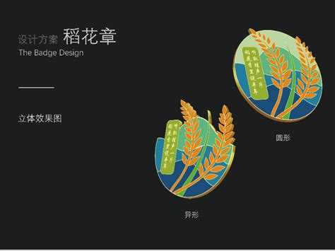 徽章设计兔兔的西瓜皮 站酷zcool