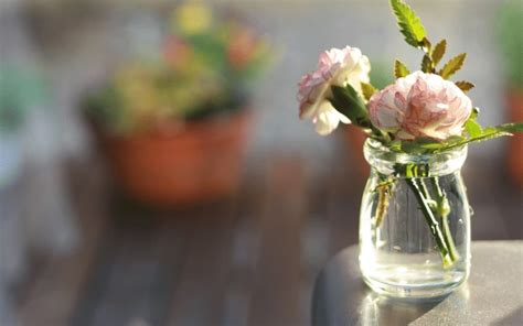 My Favorite Christian Homemaking Blogs A Virtuous Woman