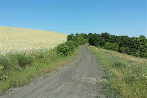 Sarantis Bachtsevanis Thessaloniki Tripadvisor