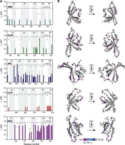 Internal Motions T E Faster Than The Rotational Correlation Time T Download Scientific