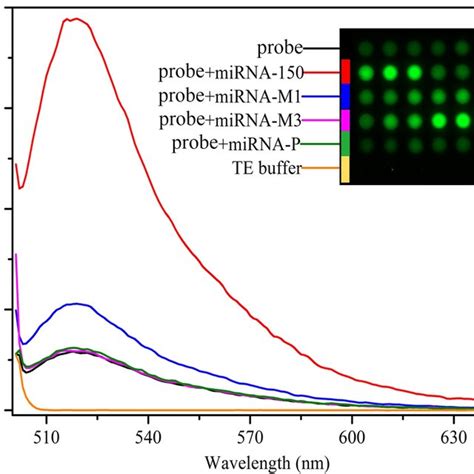 Optimization Of Allosteric Spherical Nanoprobe Assay A The Ratio Of