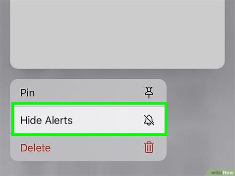 What Does Hide Alerts Mean On Iphone What You Need To Know