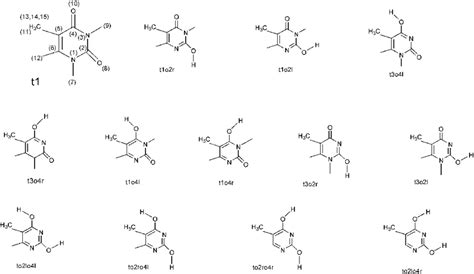 The Thirteen Thymine Tautomers Standard Numbering And Adopted