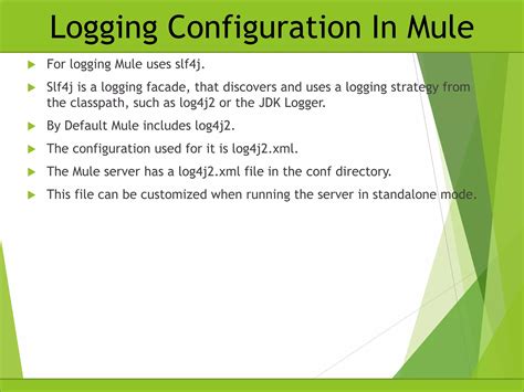Logging Configuration In Mule Ppt