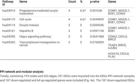 Pathway Enrichment Analysis Of Common Genes Function In Gastric Cancer Download Scientific Diagram