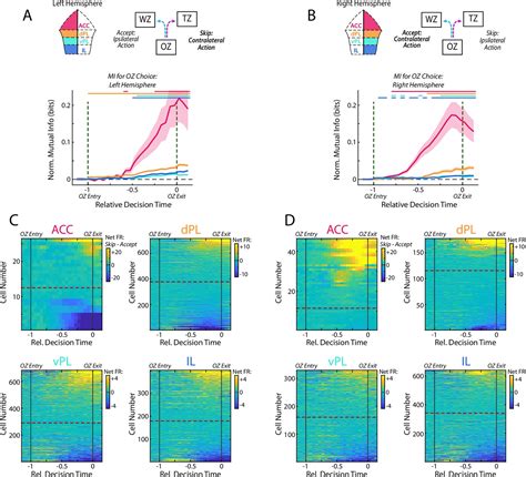 Figures And Data In Differential Processing Of Decision Information In