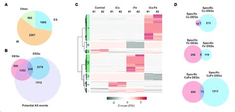 Analysis Of Differential Splicing Events Under Individual And