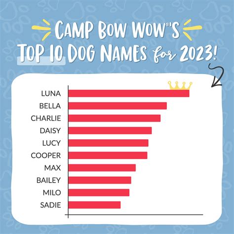 Camp Bow Wows Dog Name Trends For 2023