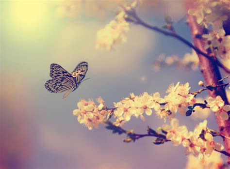 Spring Nature Photography