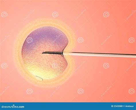 Artificial Insemination In Vitro Fertilization Ivf Of Human Egg Cell