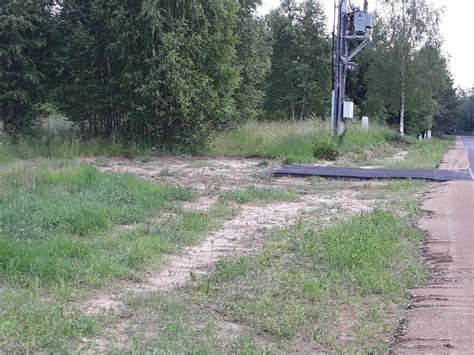 Dzia Ka Szczechy Ma E Bez Po Rednika M