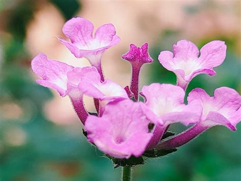 Oopl By Do12345 On Deviantart