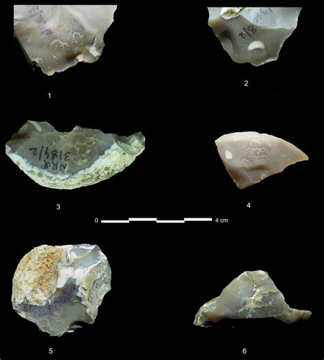 Examples Of Cores 13 56 And A Flake 4 From Nesher Ramla Upper Download Scientific