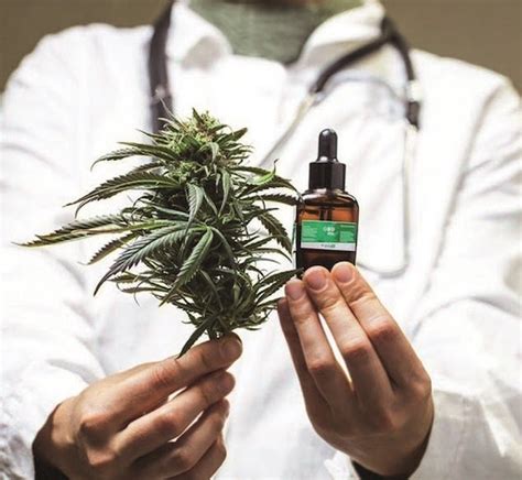 Uso medicinal del cannabis expectativas por la nueva reglamentación