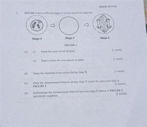 Pspm Figure Shows Different Stages Studyx