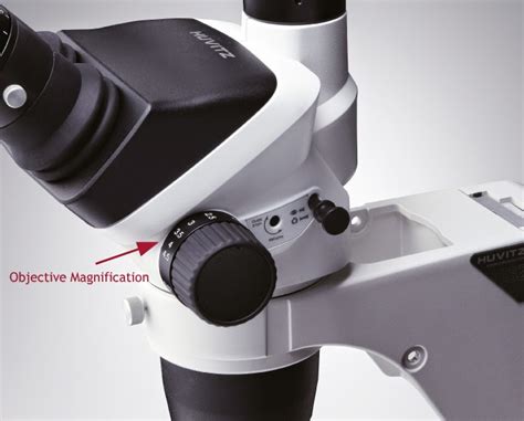 What Is The Magnification Of A Stereo Microscope At Jorja Helms Blog