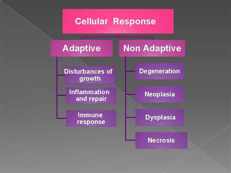 Cellular Response Adaptive Non Adaptive Disturbances Of Growth