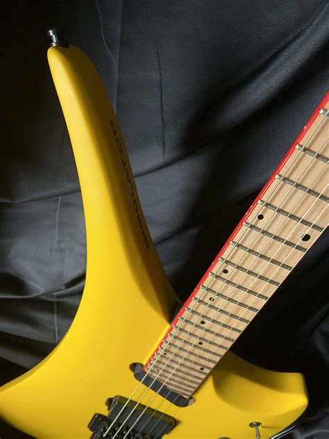 Kramer Simulator Prototype Turbulence R29 Delta Wing Reverb