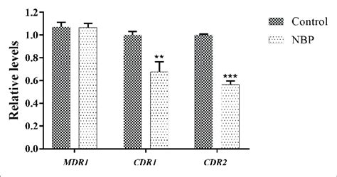 Relative Expressions Of Drug Transporter Encoding Genes MDR1 CDR1