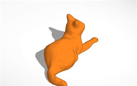 3d Design Cat Tinkercad