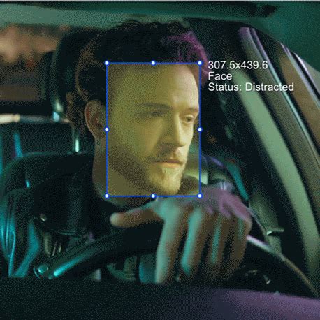 In Cabin Monitoring Data Annotation Technology Automation IMerit