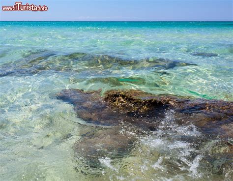 Le spiagge più belle di Gallipoli bianche e da non perdere