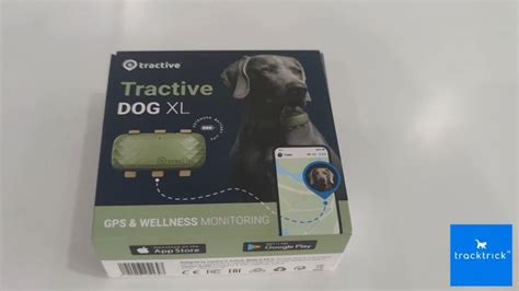 Tractive DOG XL - GPS Dog Tracker ปลอกคอ GPS ไม่จำกัดระยะ กันน้ำ 100% ...
