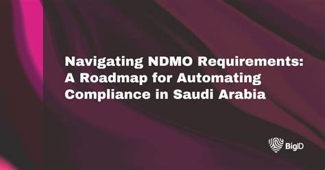 Navigating Ndmo Requirements Bigid