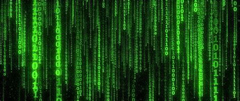 Conquering The Terminal An Introduction To Bash Scripting Dev Community