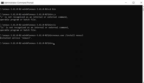 windows下nexus3安装 古月辣糖满一满 博客园