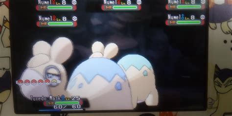 [genvi] Shiny Numel Phase 3 After Another Koffing Dtq Member