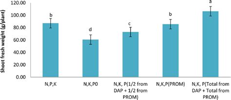 Effect Of Phosphorous Rich Organic Manure Prom On Shoot Fresh Weight