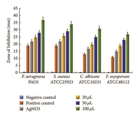 Antimicrobial Activity Assay Of Agnps Download Scientific Diagram