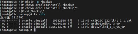 rman在oracle19c环境中进行数据备份与恢复的详细步骤 csdn博客