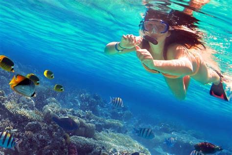 Scuba Diving In Trincomalee Overa Tours Travel Agent In Sri Lanka
