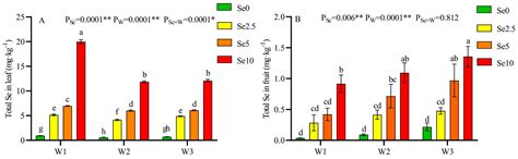 Agronomy Free Full Text Foliar Application Of Selenium Enhances Drought Tolerance In