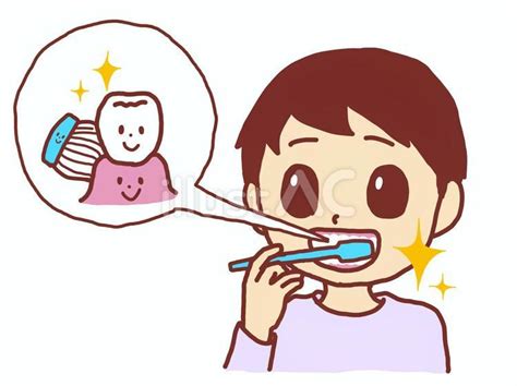 軽い力での歯磨きで歯周病の予防に！イラスト No 23990211｜無料イラスト・フリー素材なら「イラストac」