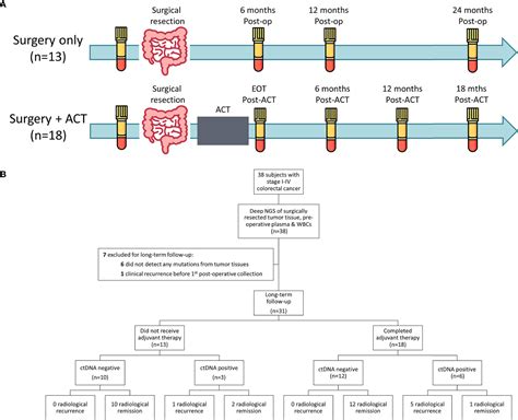 Frontiers Tumor Informed Or Tumor Agnostic Circulating Tumor Dna As A Biomarker For Risk Of