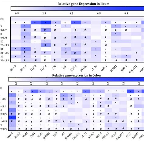 Effect Of Lab Supplementation On The Relative Gene Expression In The Download Scientific