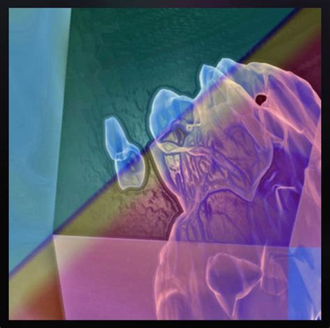 Ideographic Space 21st Century Wolf Album Art Space Cat Modern