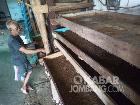 Di Tengah Naiknya Harga Pakan Pria Di Jombang Ini Bertahan Budidaya