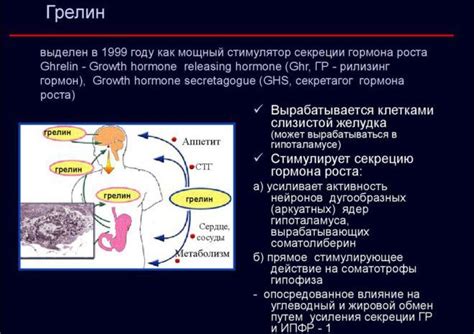 Грелин (гормон голода): что это, как понизить и чем