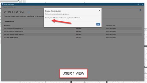 Different Results From Force Relinquish Listed When Initiated By Two Different Users In Revit