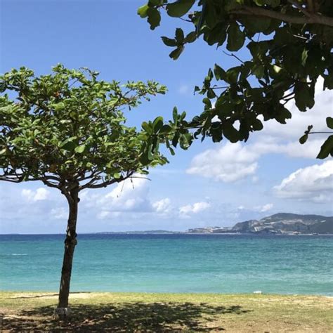 Okinawa Locals Blog
