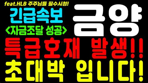 금양 주가전망 🔴자금조달 문제없다 초대박 특급호재 목빠지게 기다렸던 소식 축하드립니다 금양 금양주가전망 금양주식전망 Youtube