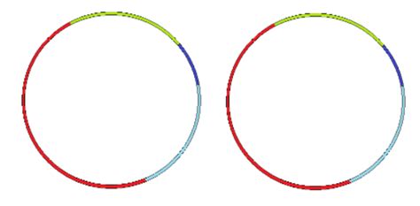 Github Drdoubleyoucircular Dna Alignment