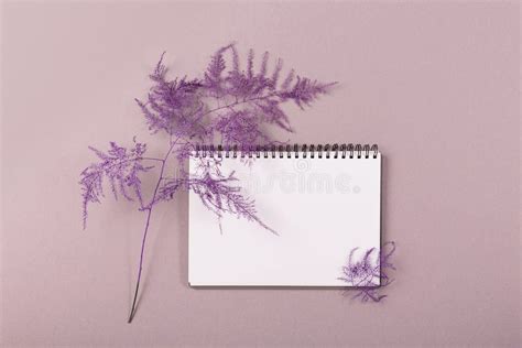 Blank Diary Notepad Mockup And Dry Plant On Beige Background Stock