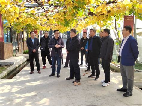 定远县领导到合肥市大圩镇考察朗坤默克庄园项目中国国情中国网