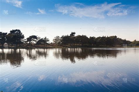 英格兰汉普郡新森林英国